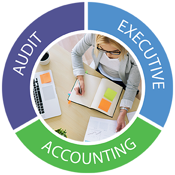 About the Auditor's Office